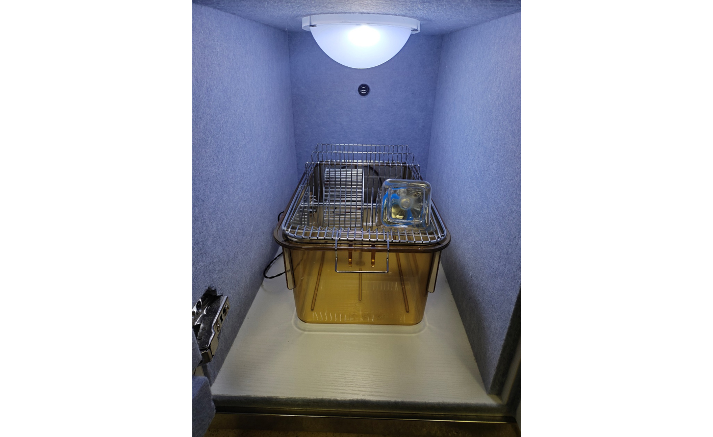 小动物行为检测平台